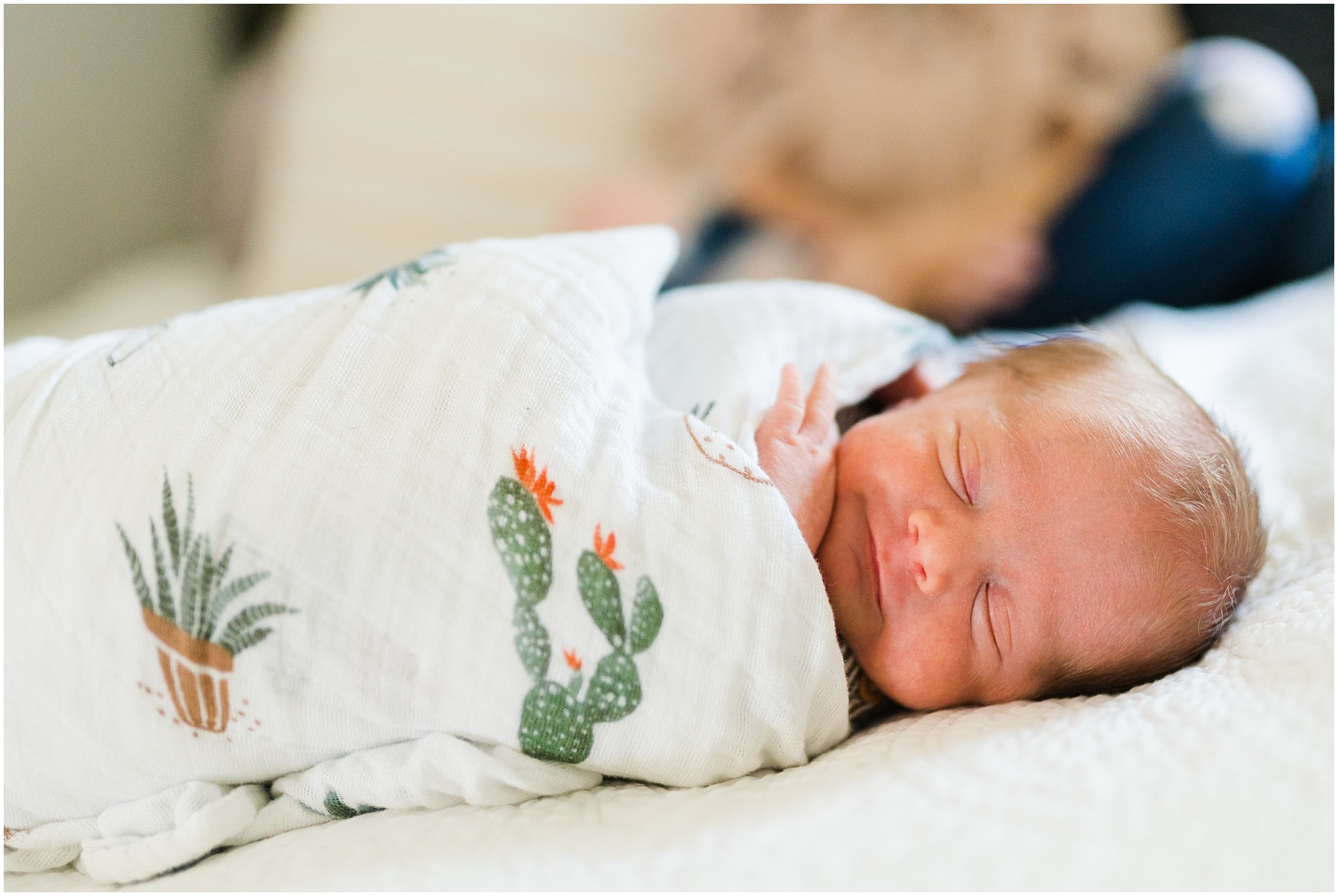 Newborn Cam Lifestyle Session - elizabethstonephotography.com